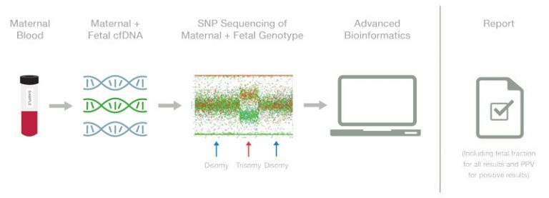 Non-invasive Prenatal Test – Panorama or Illumina – Cherish